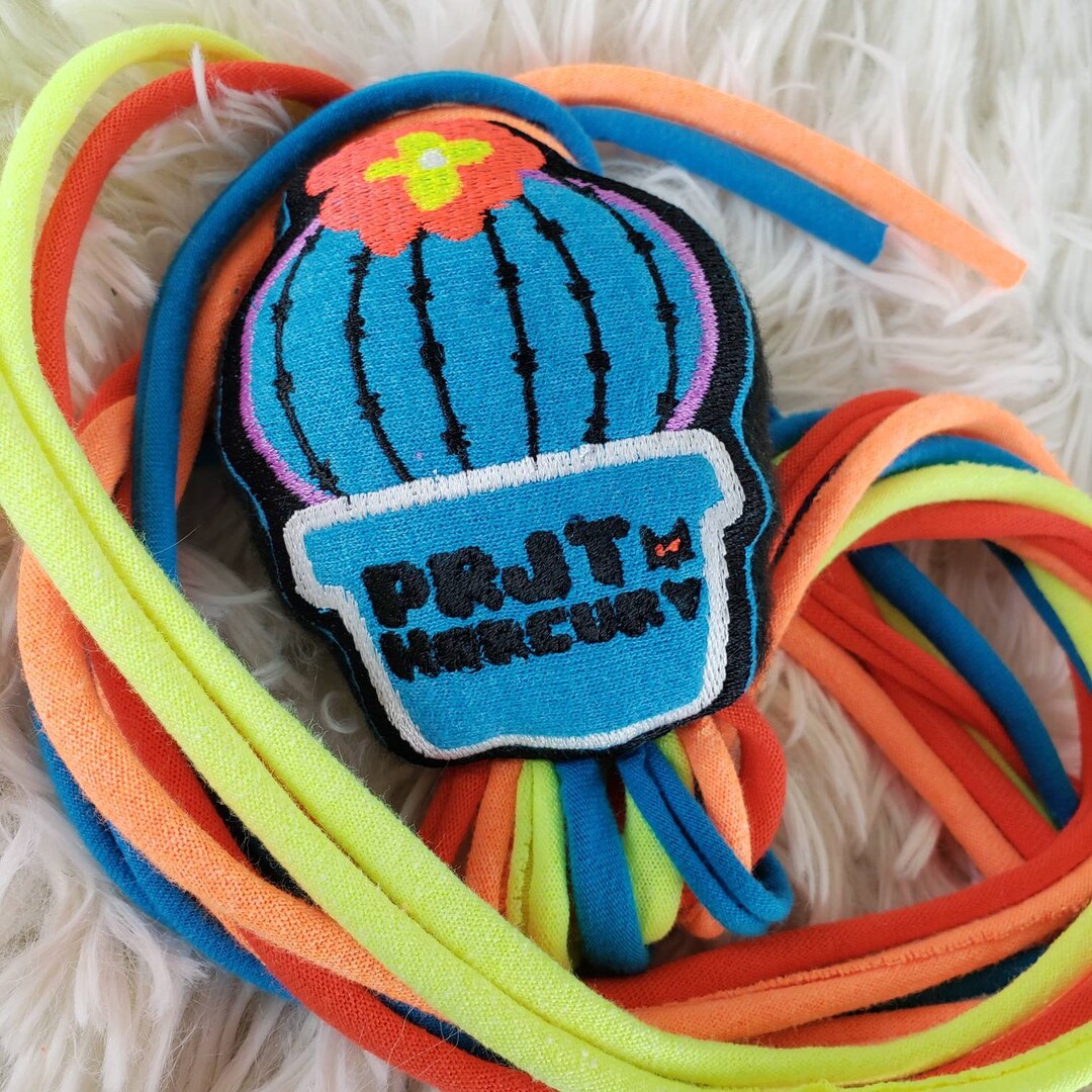 CATNIP Space Cactus Embroidered Catnip Toy With Springy - Etsy