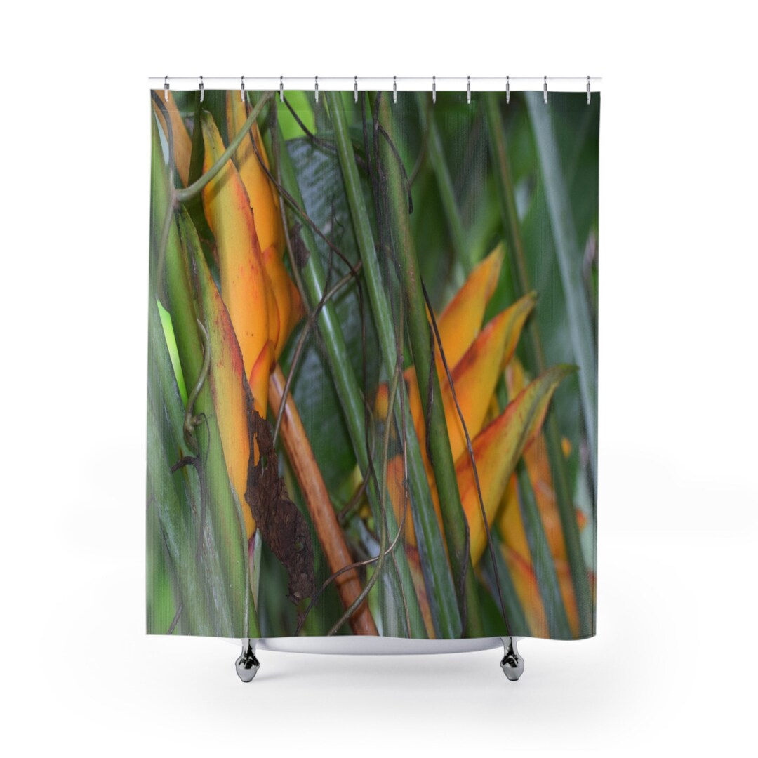 The Cool University of Puerto Rico Rio Piedras Campus UPR - Etsy