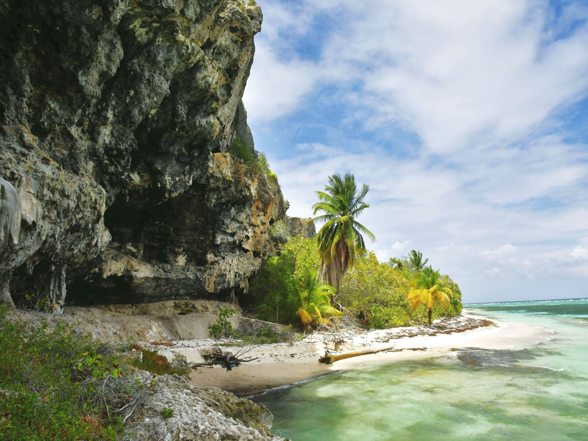 60-pages the CAVES of Remote MONA Island, Beach Canvas Wall Art ...