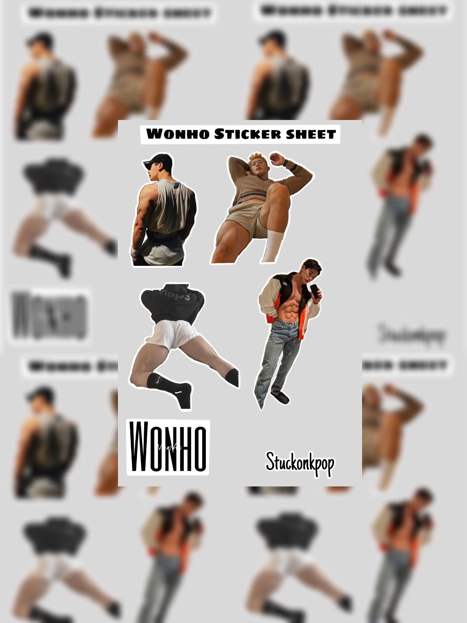 Wonho Sticker Sheet | Etsy