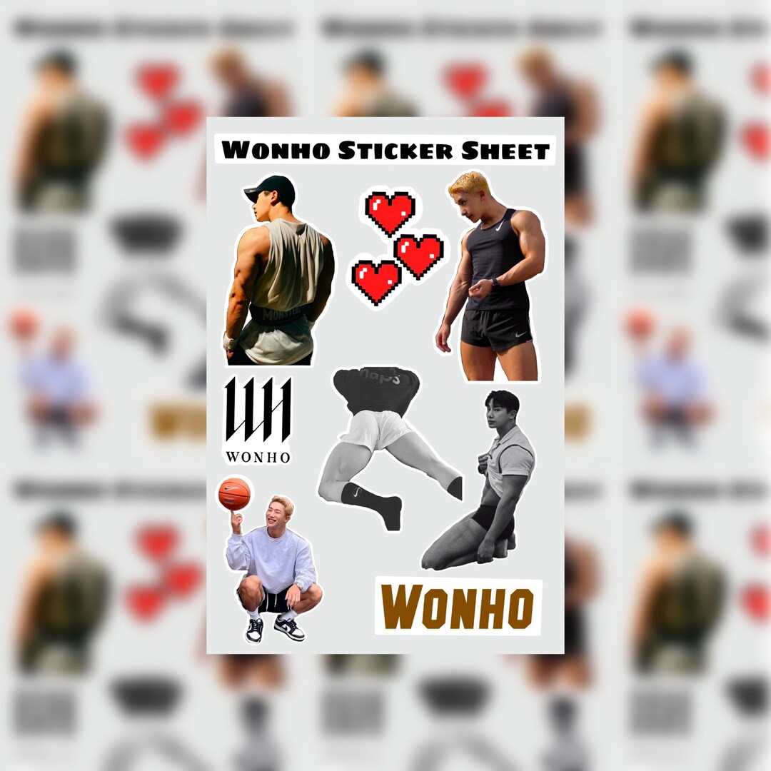 Wonho Sticker Sheet - Etsy