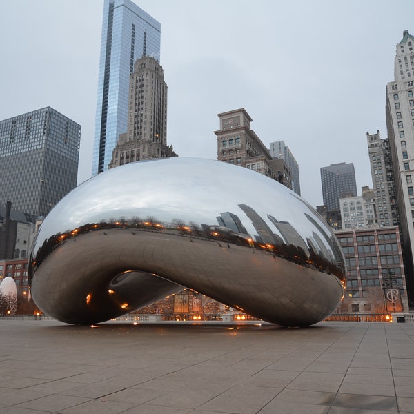 Chicago Bean Ornament - Etsy