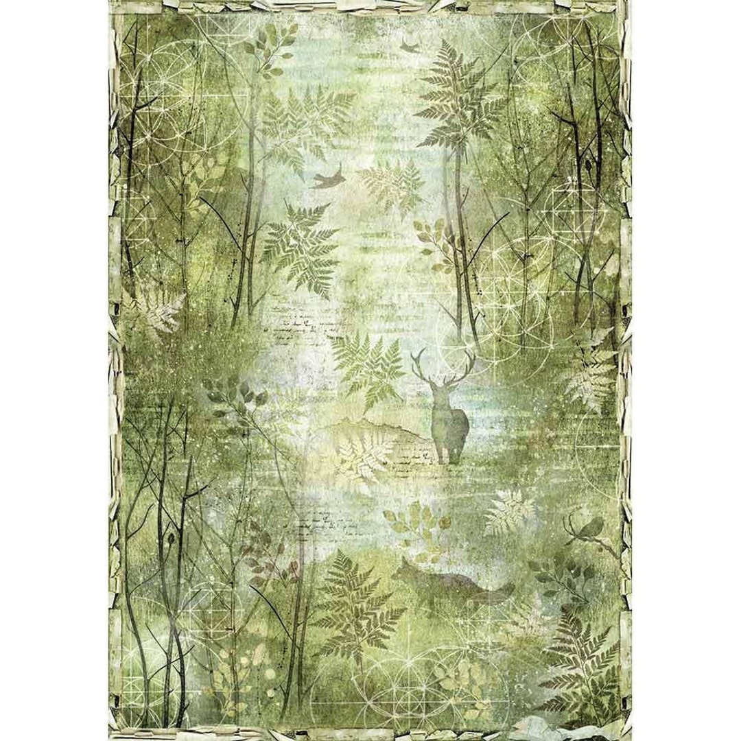 Stamperia Green Forest Rice Paper A3 DFSA3049 - Etsy