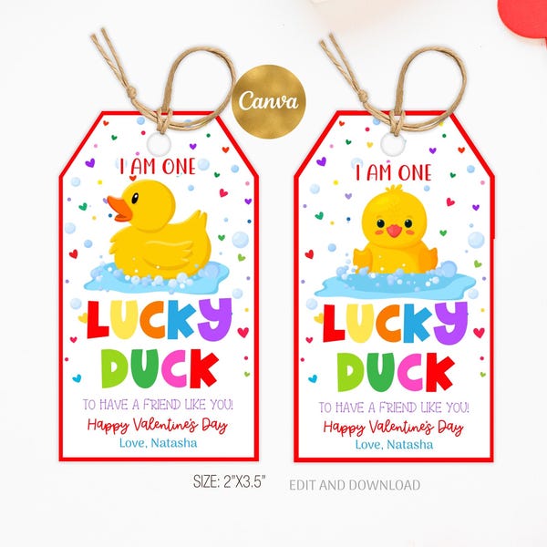 Duck Valentine Box - Etsy