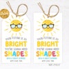 Editable Future so Bright You're Gonna Need Shades, End of the Year Tag ...