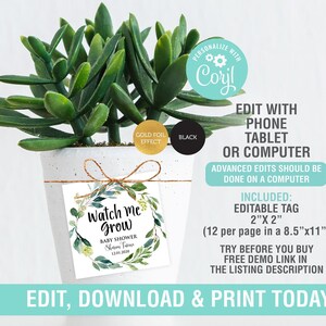 Watch Me Grow Succulent Tags,baby Shower Favours,watch Me Grow Stick ...