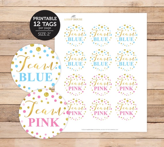 Team Pink Team Blue Stickers PRINTABLE, Gender Reveal Party Stickers ...
