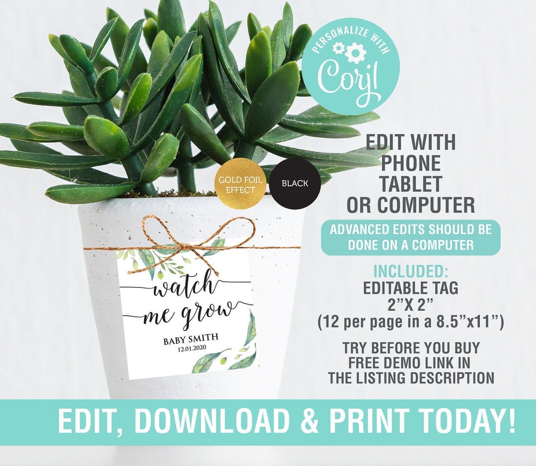 Watch Me Grow Tags Succulent, Baby Shower Succulent Favor Tags ...