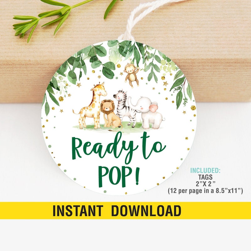 Safari Food Labels - Etsy