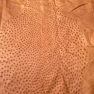 Ostrich Leather Hide Genuine Ostrich Leather Tanned Skin Grade - Etsy