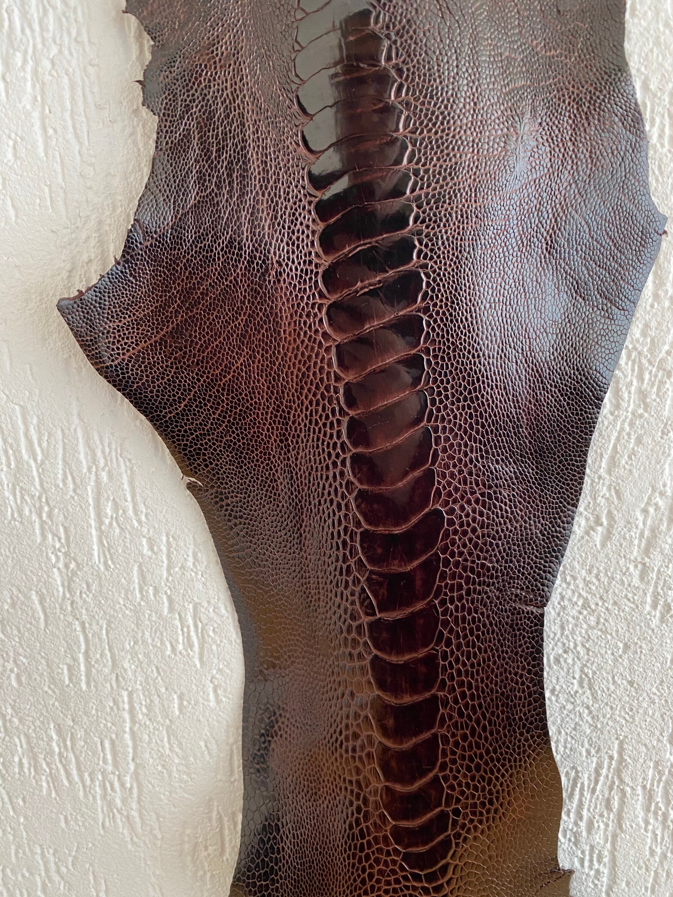 Genuine Ostrich Leg Skin Leather Tanned Genuine Leg Skin | Etsy