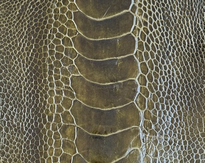 Ostrich Leg Skin Leather Tanned Genuine Leg Skin Ostrich Leather - Etsy