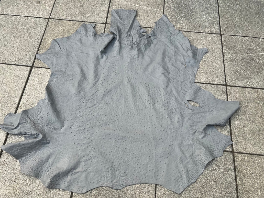 Ostrich Leather Hide Genuine Ostrich Leather Tanned Skin Grade A - Etsy