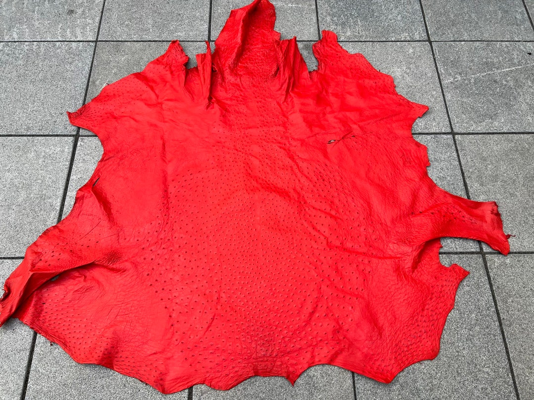 Ostrich Leather Hide Genuine Ostrich Leather Tanned Skin Grade A - Etsy