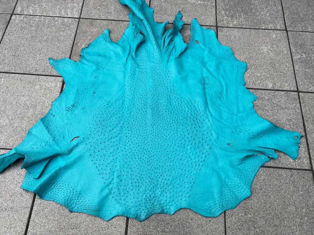 Ostrich Leather Hide Genuine Ostrich Leather Tanned Skin Grade A - Etsy