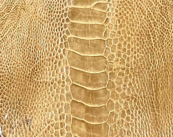 Ostrich Leg Skin Leather Tanned Genuine Leg Skin Ostrich Leather - Etsy