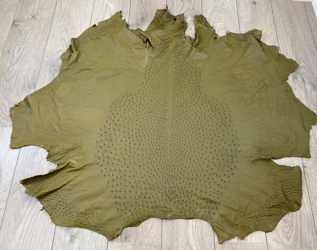 Ostrich Leather Hide Genuine Ostrich Leather Tanned Skin Grade A - Etsy