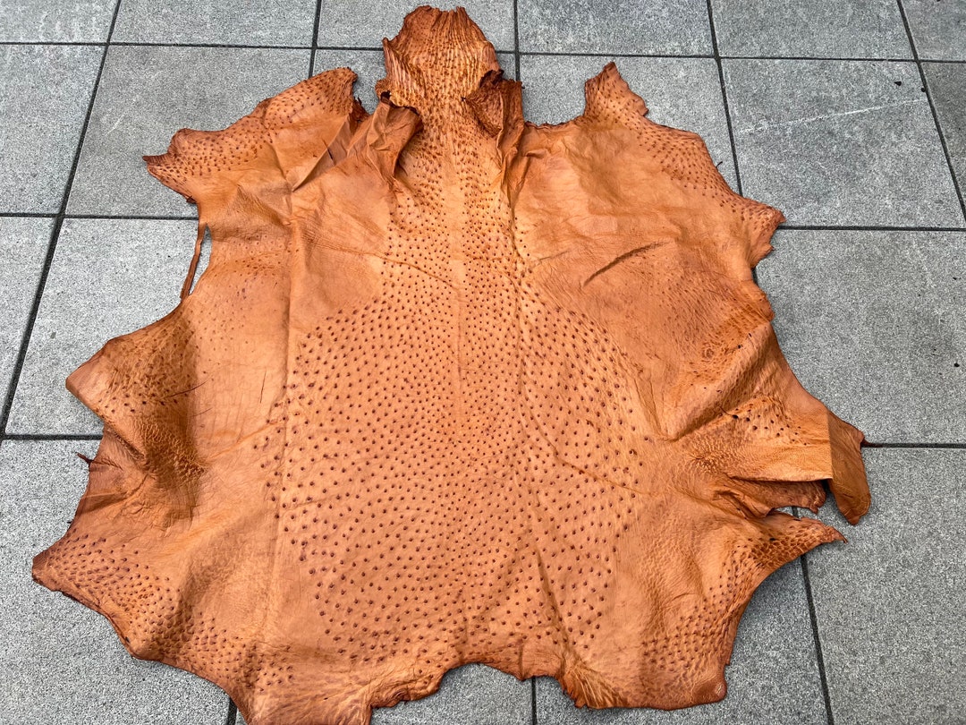 Ostrich Leather Hide Genuine Ostrich Leather Tanned Skin Grade - Etsy