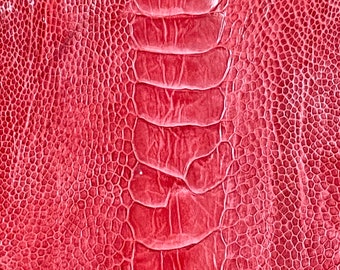 Ostrich Leg Skin Leather Tanned Genuine Leg Skin Ostrich Leather - Etsy