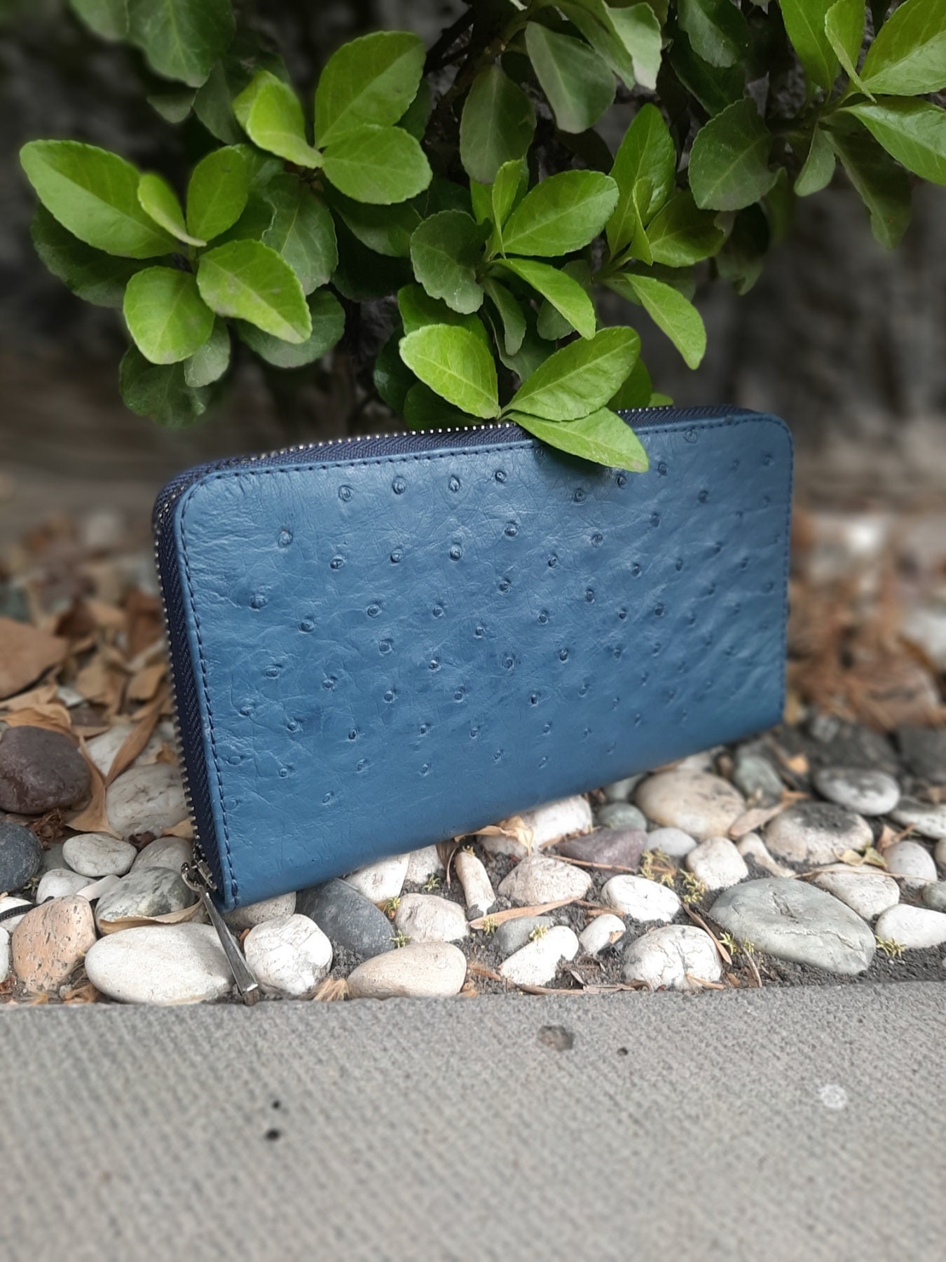 Genuine Ostrich Leather Women Wallet, Leather Zip Around Wallet ...