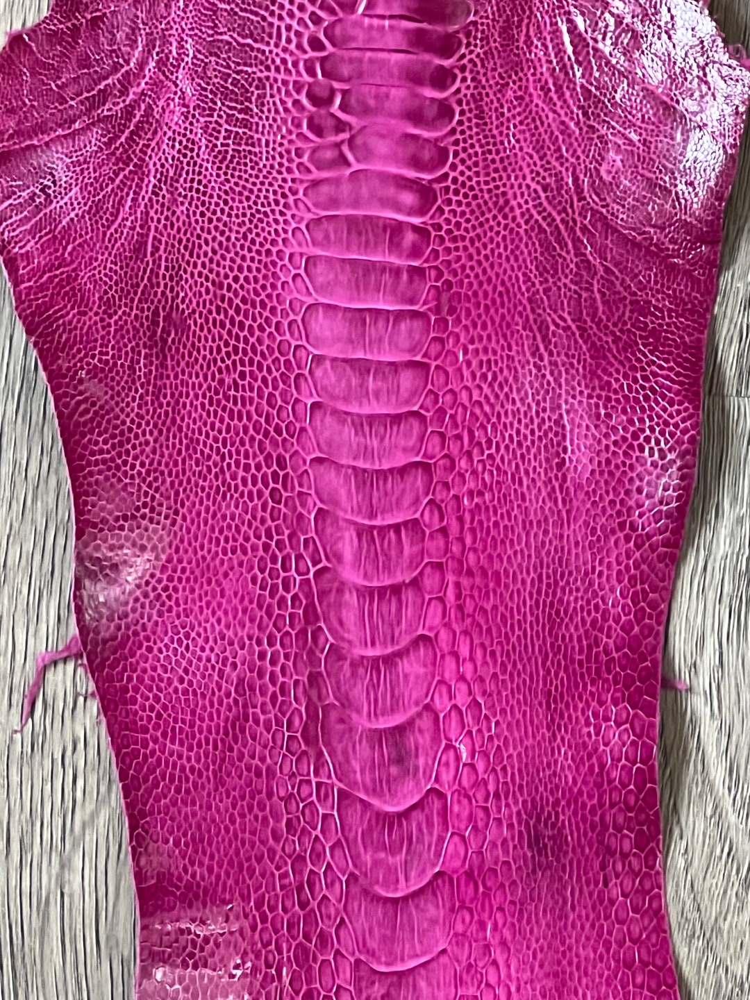 Ostrich Leg Skin Leather Tanned Genuine Leg Skin Ostrich - Etsy