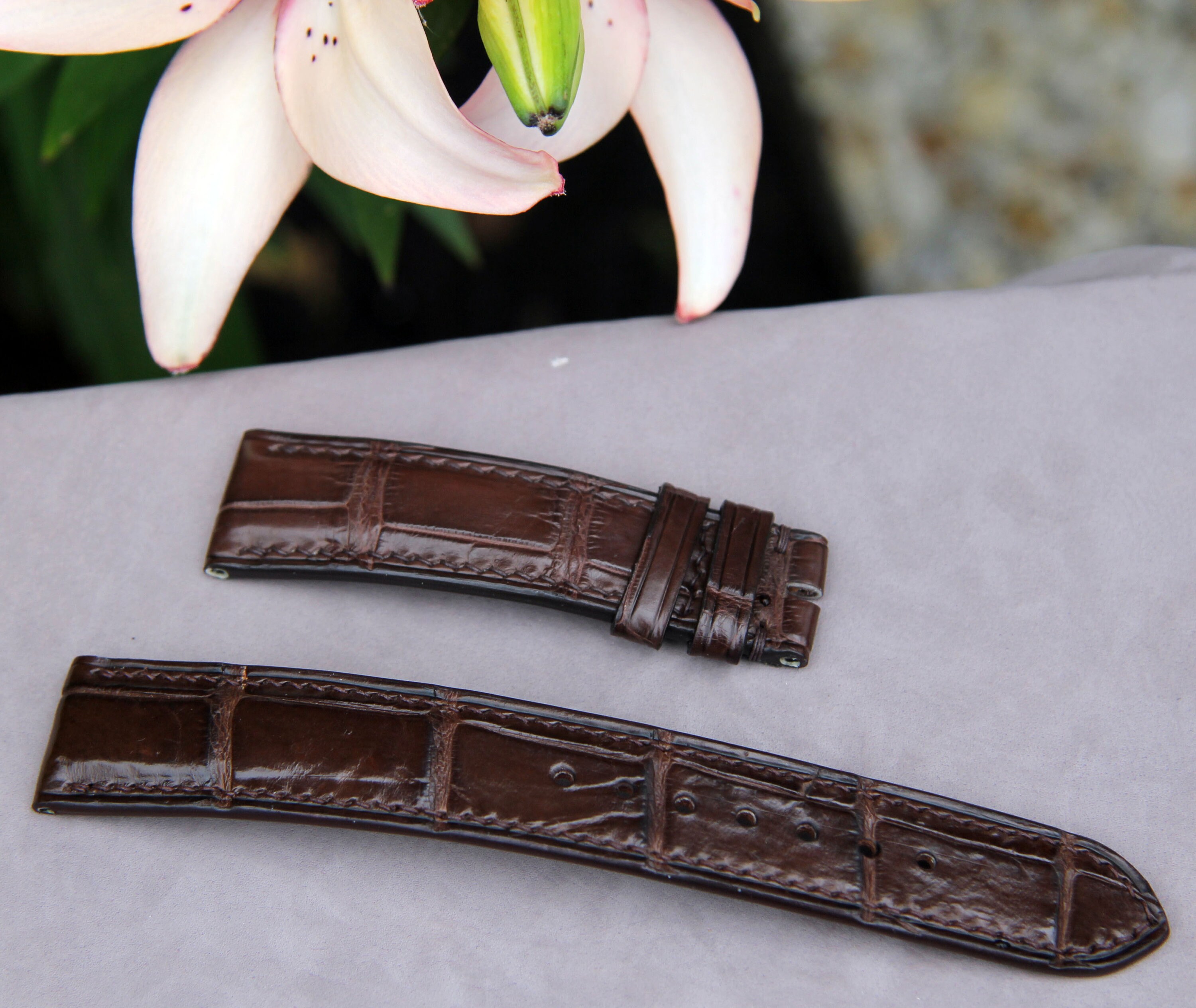 Alligator Watch Strap Handmade Genuine Alligator Leather - Etsy