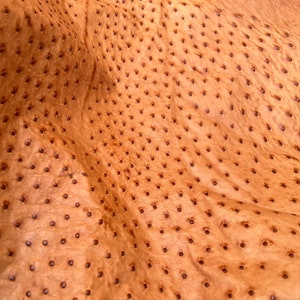 Ostrich Leather Hide Genuine Ostrich Leather Tanned Skin Grade - Etsy