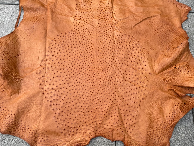 Ostrich Leather Hide Genuine Ostrich Leather Tanned Skin Grade - Etsy