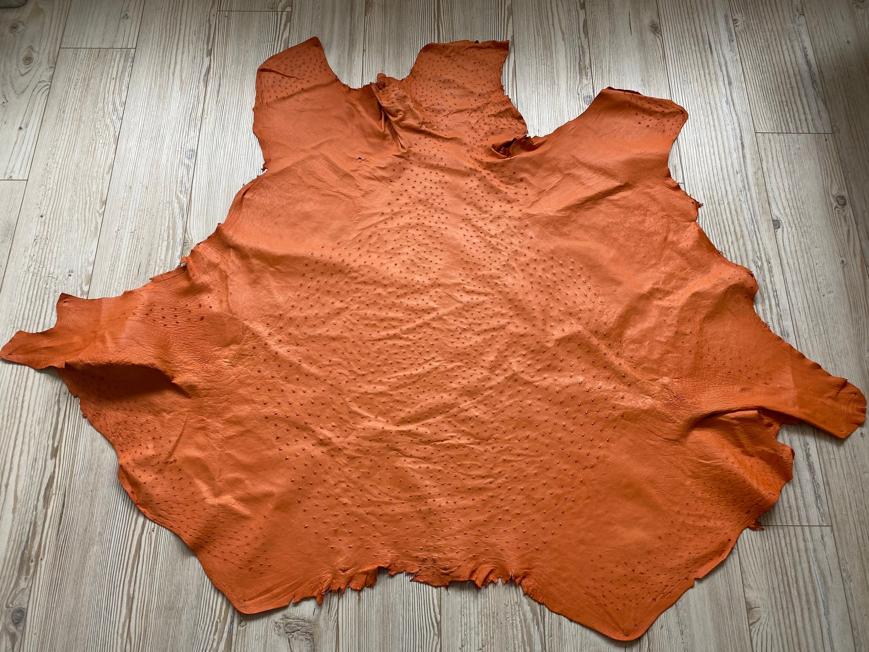 Crafting Genuine Ostrich Body Skin Leather Sheets Premium | Etsy