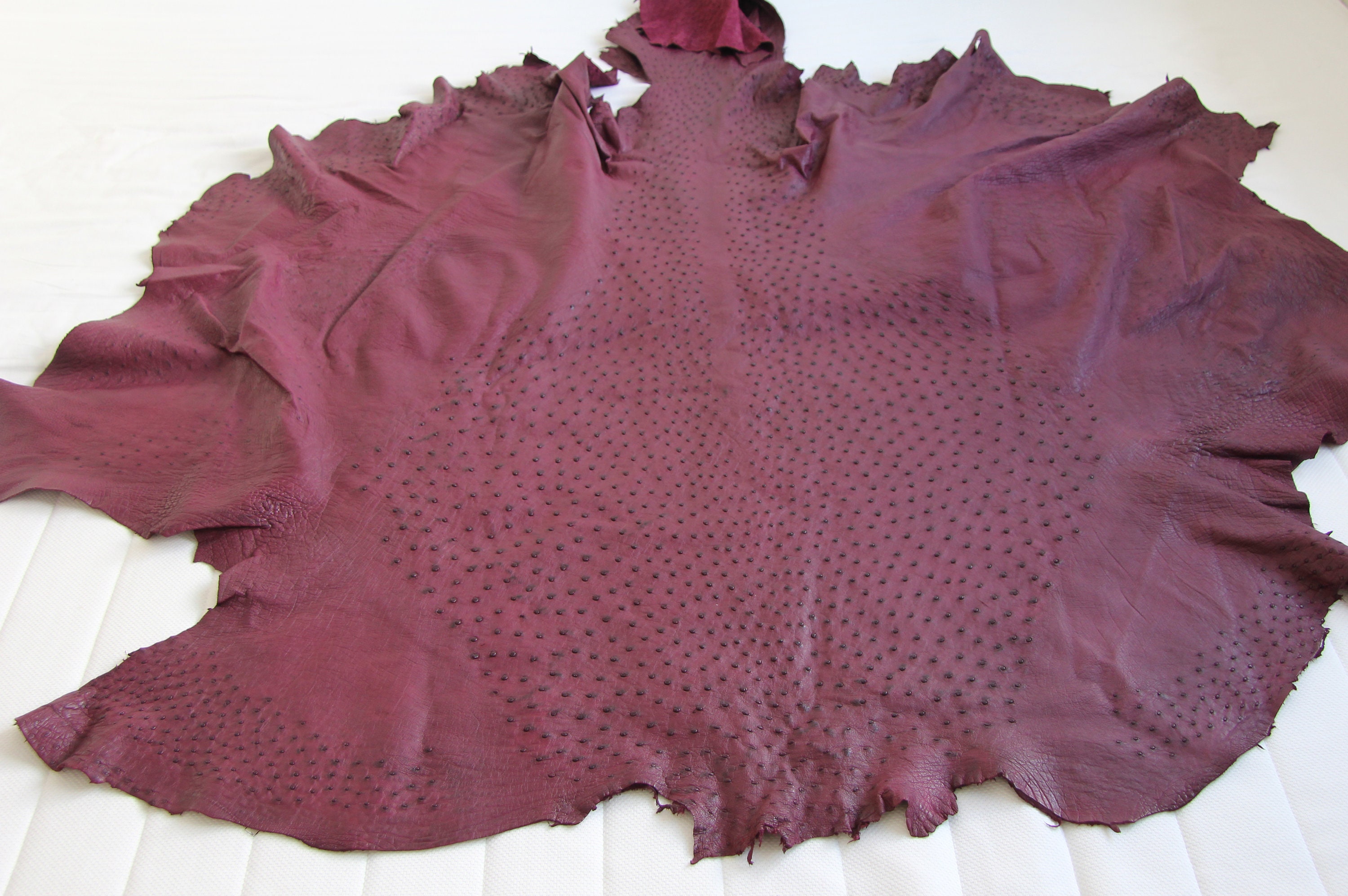 Ostrich leather hide Genuine ostrich leather Tanned skin Grade | Etsy