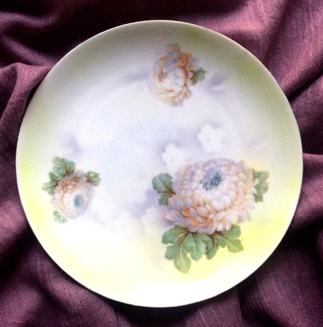 Prov Saxe Plate - ES Germany -handpainted With Chrysanthemums on White ...