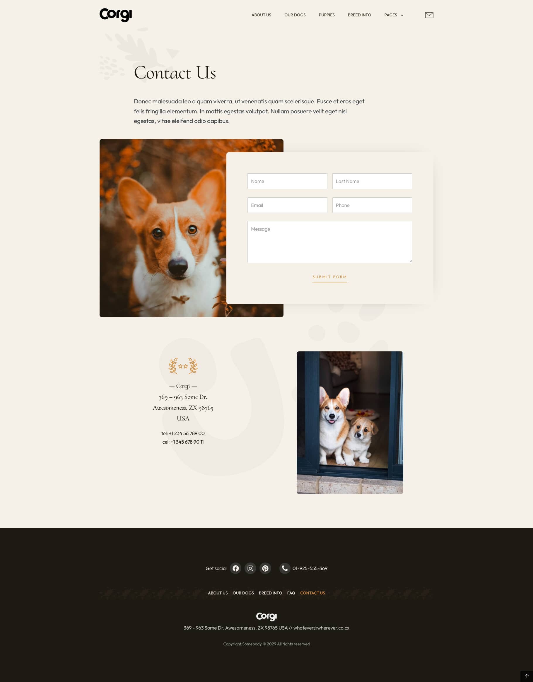 Corgi a Dog Breeder Elementor PRO Templatekit - Etsy