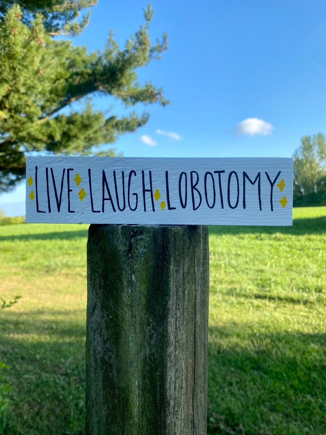 Live Laugh Lobotomy Hand Painted Wood Sign - Etsy