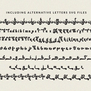 Retro Font: 70s Swirl Lettering, Procreate & Canva Font - Etsy