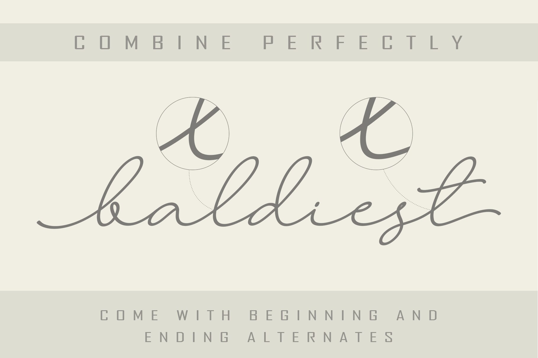 Larianti Monoline Font Best Seller Font Thin Font Font - Etsy