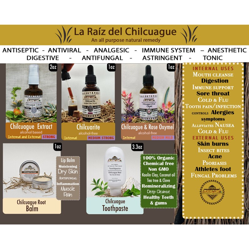 2/ Chilcuague Extract - Etsy