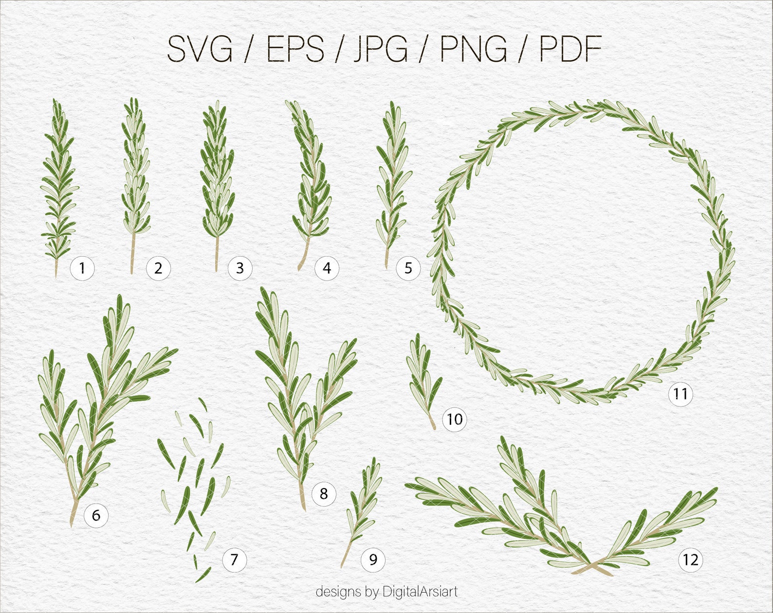 Rosemary Vector Illustration SVG Herbs Clipart Set Kitchen | Etsy