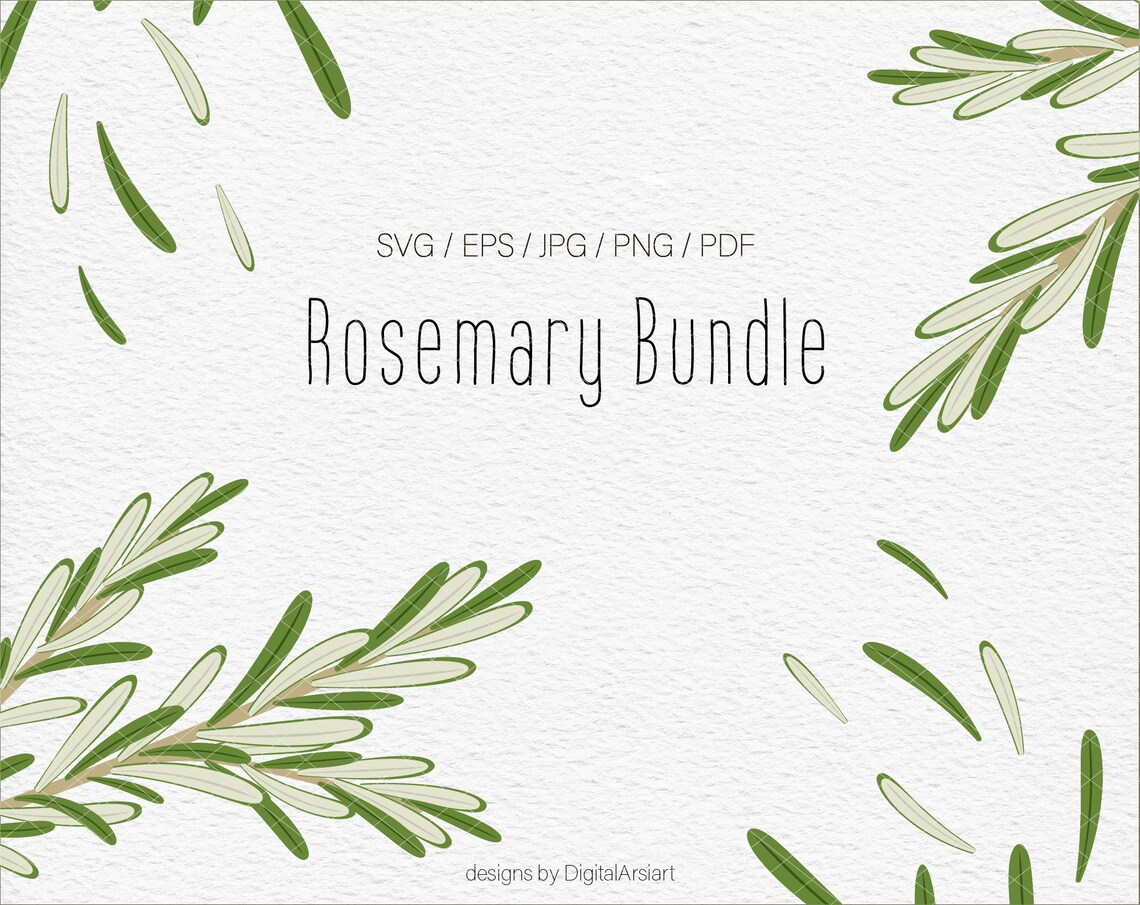 Rosemary Vector Illustration SVG Herbs Clipart Set Kitchen | Etsy