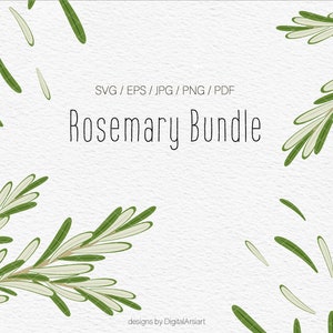 Rosemary Vector Illustration SVG Herbs Clipart Set Kitchen Decor Png ...