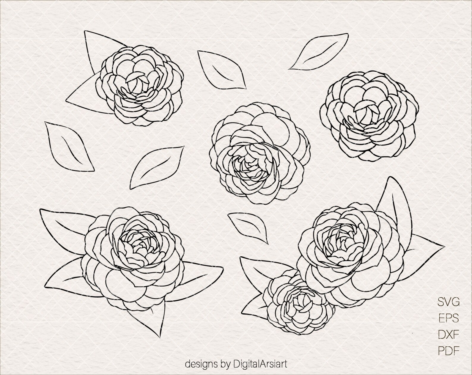 Flower Svg Floral SVG Cut File Set Svg Flower Set Flowers Cut - Etsy