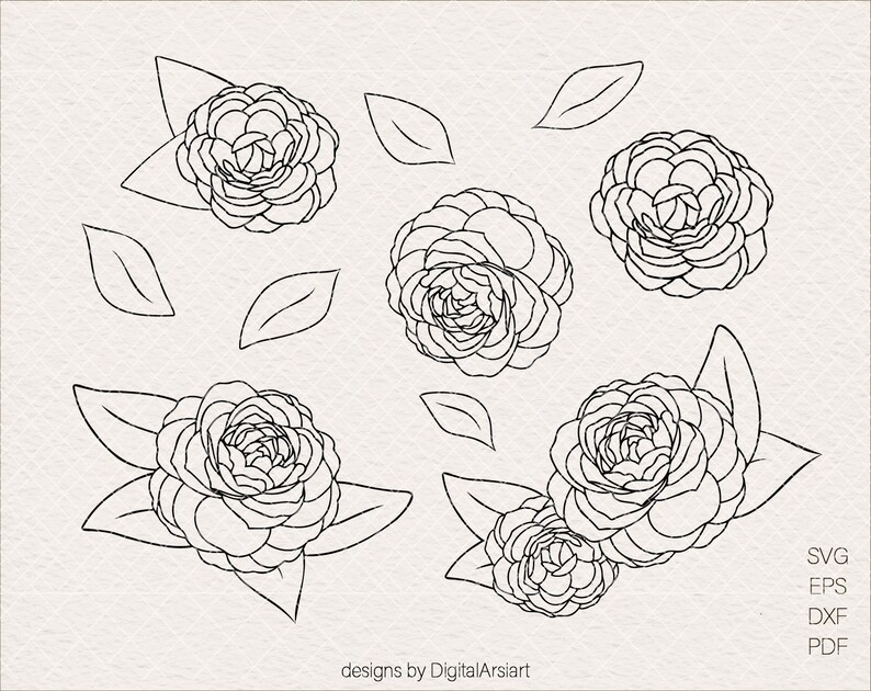 Flower Svg Floral SVG Cut File Set Svg Flower Set Flowers Cut - Etsy