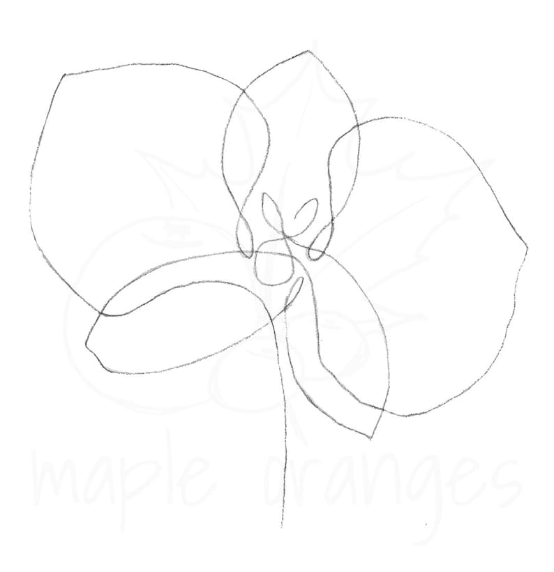 Orchid One Line Art Hand Drawn Floral Printable White - Etsy