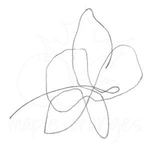 Orchid Line Art - Hand Drawn Botanical Printable, Orchid Wall Art Print ...