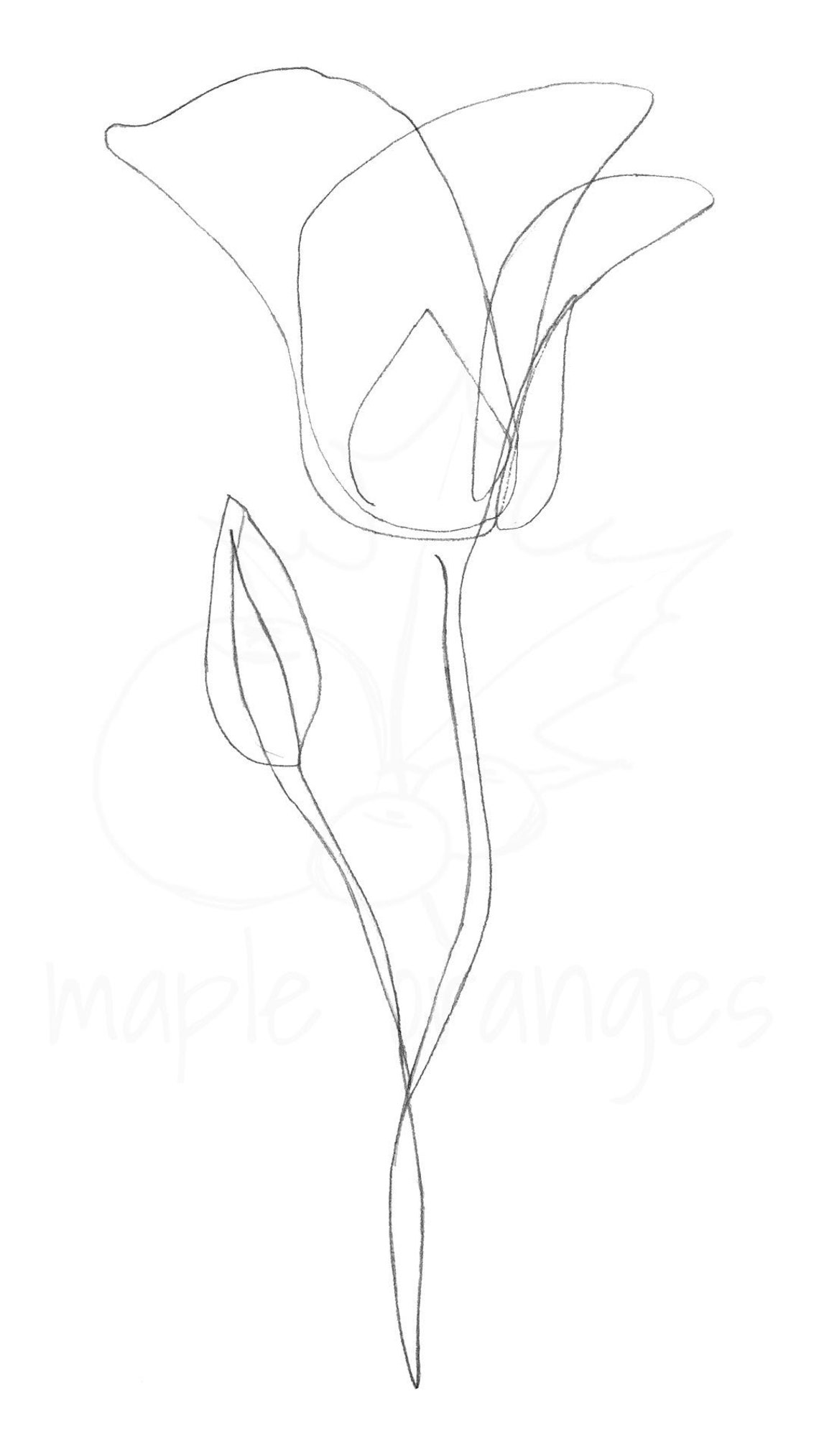 Poppy Line Art hand Drawn Botanical Printable Cosmos - Etsy