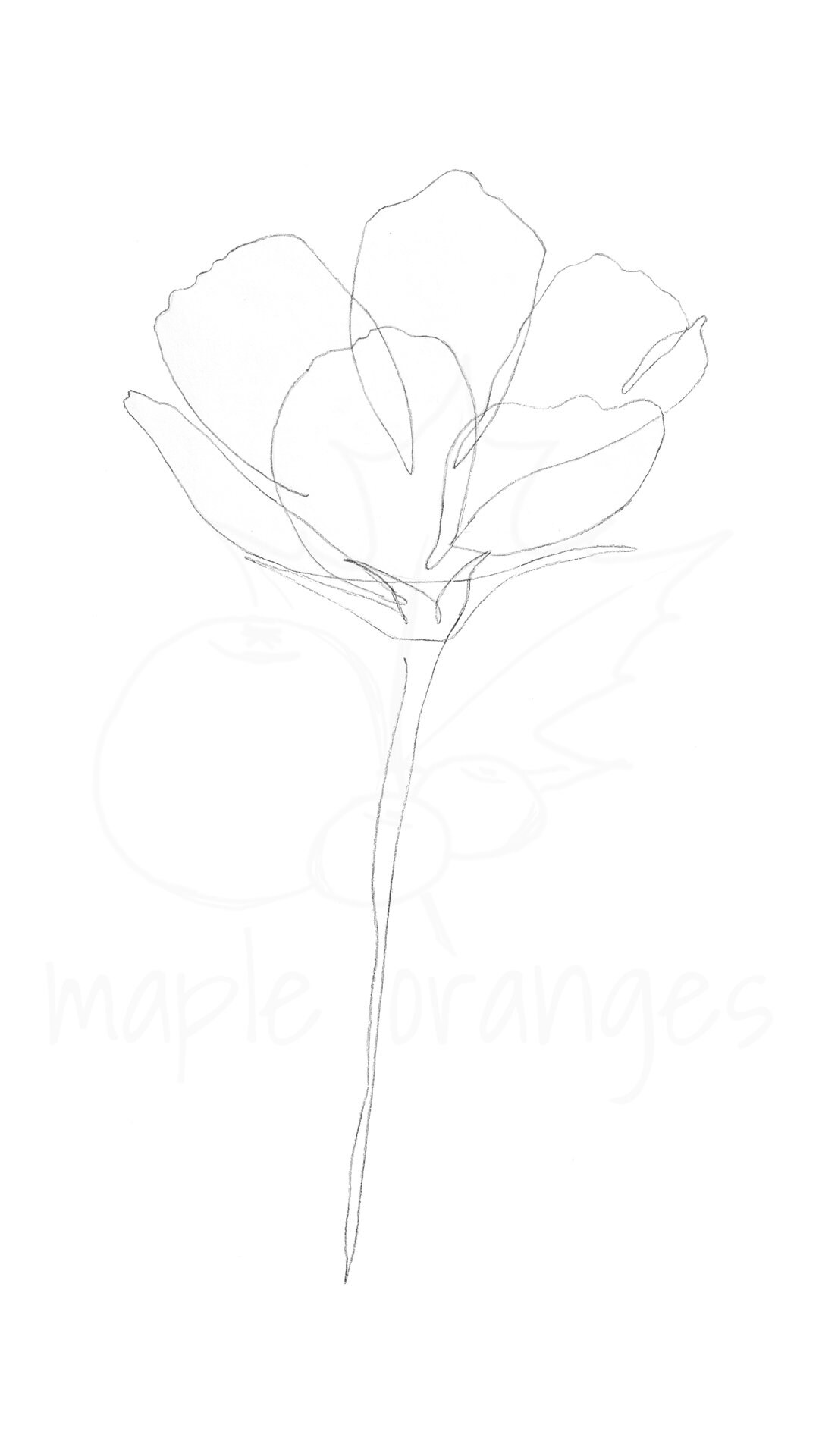 Cosmos print Botanical line art hand drawn botanical | Etsy