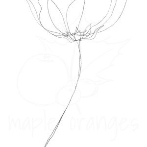 Flower Line Art - Hand Drawn Botanical Printable, Cosmos Flower, Poppy ...