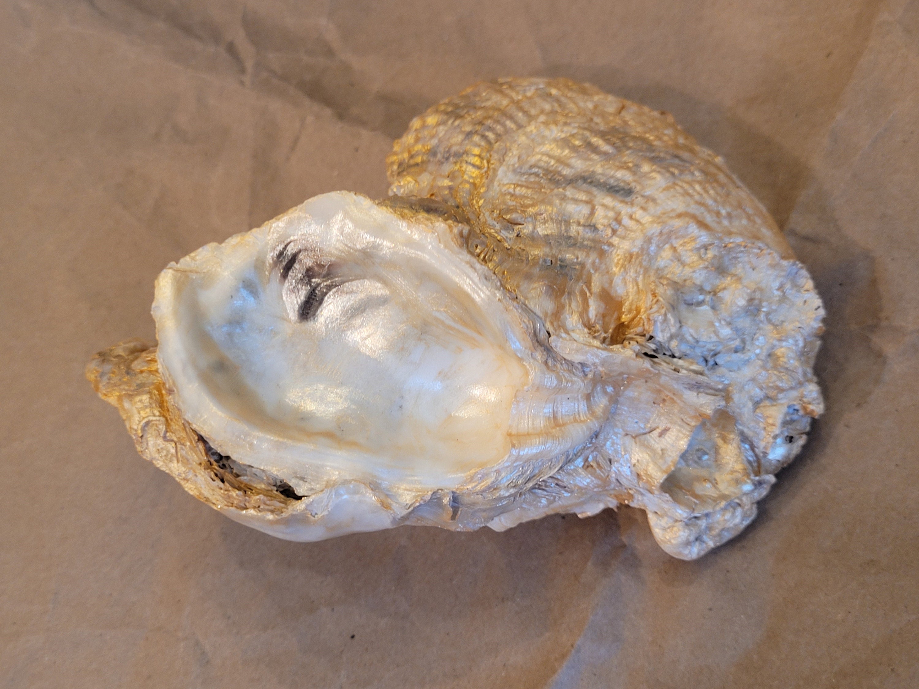 Large Triple Oyster Shell Dish, NOLA Made Painted Trinity Oyster, Art ...