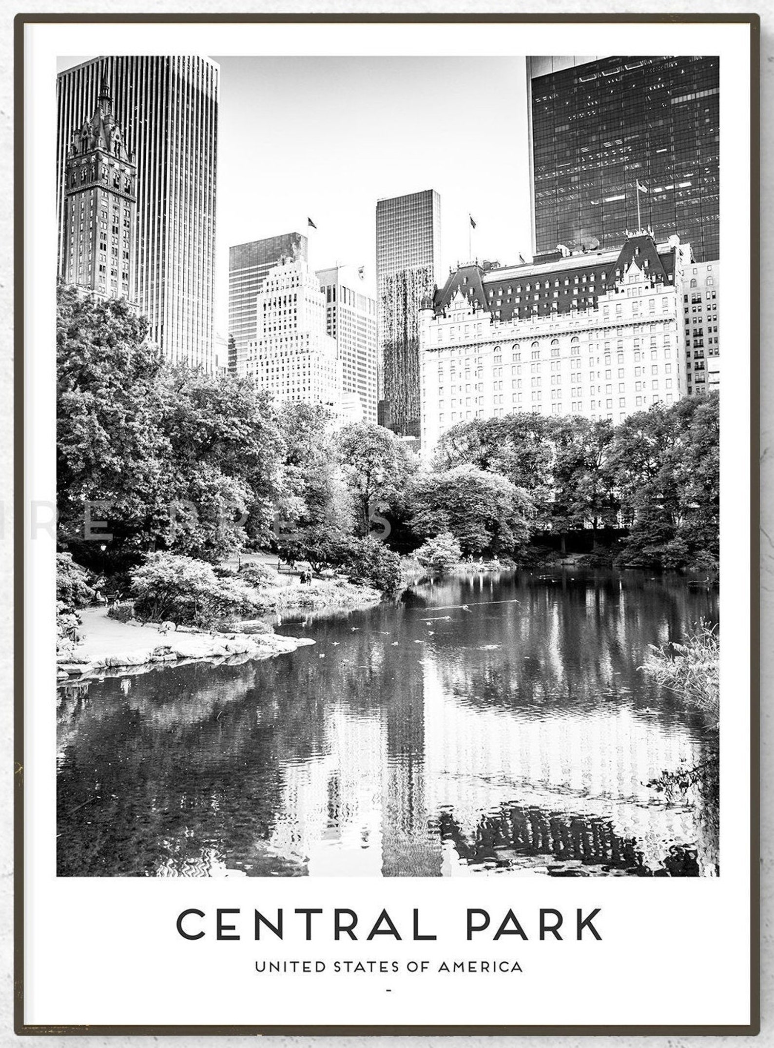 New York Central Park Poster / Print / USA Poster / America - Etsy