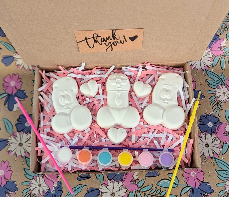 Hen Party Willy Inspired Paint Set Craft Kit - Paint You Own Willy Hen ...