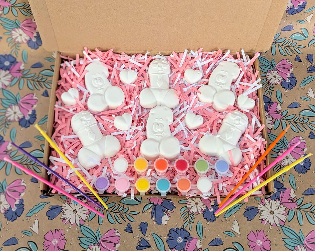 Hen Party Willy Inspired Paint Set Craft Kit - Paint You Own Willy Hen ...
